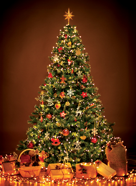 Festive | Traditional Chairty Christmas Cards
